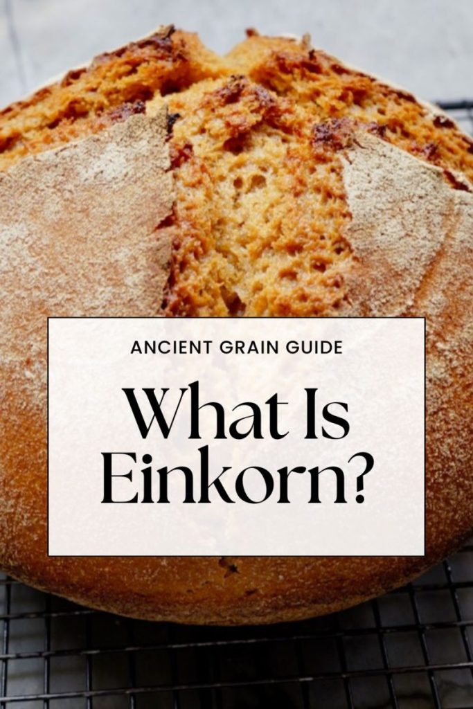 What Is Einkorn? Ancient Grain Guide to Nutrition & Baking — Gretchy